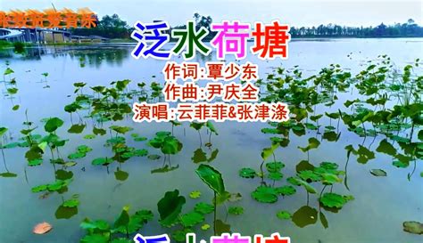 张效贤爱音乐云菲菲和张津涤演唱的泛水荷塘旋律优美深情好听 2万粉丝7千作品热议中 音乐视频 免费在线观看 爱奇艺