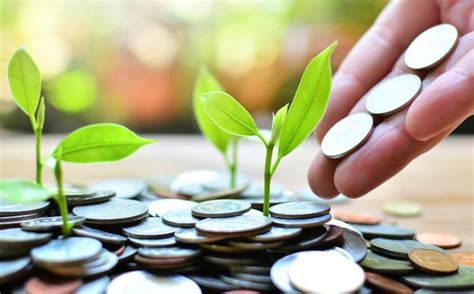 T Tulos P Blicos O Que S O E Como Investir
