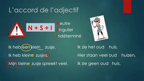 Accord de l adjectif en néerlandais YouTube