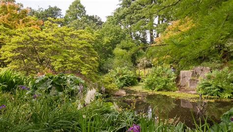 Les Rendez vous aux jardins organisés ce week end dans toute la France