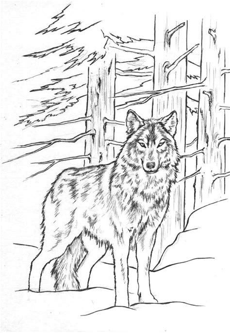 51 Coloriages Loup Gratuits à Imprimer Coloriage loup Loup dessin