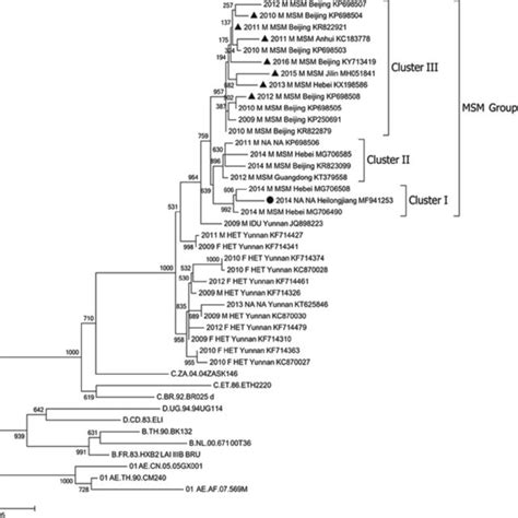 phylogenetic maximum likelihood tree of crf65 cpx maximum likelihood download scientific