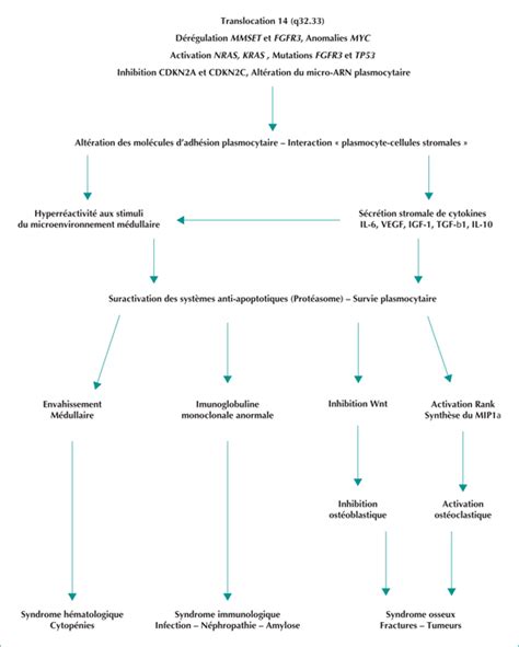 JLE Médecine thérapeutique Traitement du myélome multiple