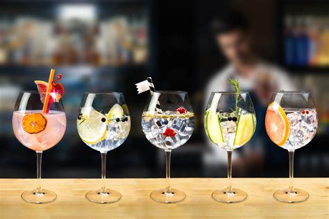 Drink Gin Tônica especiarias saiba preparar bebida mista deliciosa