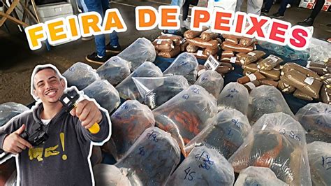 FEIRA DE PEIXES ORNAMENTAIS EM SANTO ANDRE VARIEDADE DE PEIXES YouTube