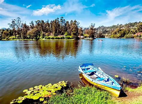 Mysore Ooty Kodaikanal 5 Nights 6 Days Tour Package Myholidays