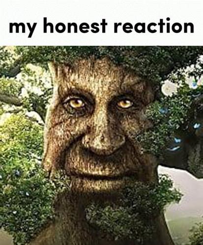 Wise Tree My Honest Reaction Know Your Meme