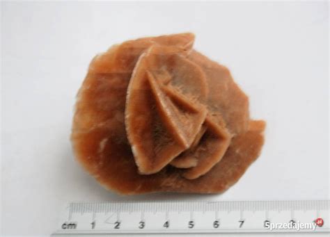 Róża pustyni kamień Sahara 8 3 cm Lublin Sprzedajemy pl