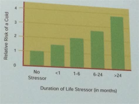 Chapter 11 Stress And Health Chapter 12 Social Psychology Chapter 13