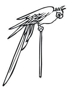 Dibujos Para Colorear Periquito Imprimible Gratis Para Los Ni Os Y