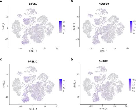 Frontiers Single Cell Sequencing Analysis And Transcriptome Analysis