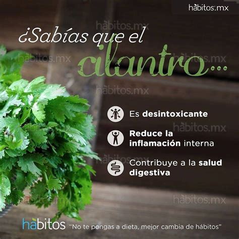2 160 Me gusta 22 comentarios Instituto Hábitos habitosmx en