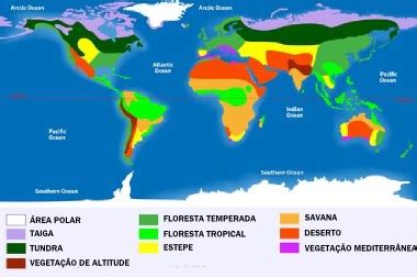Distribuição dos biomas do mundo Biomas do mundo