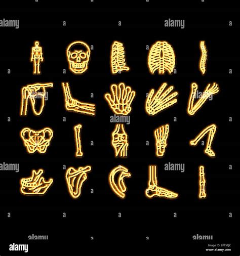 Hueso Esqueleto Humano Estructura neón brillo icono ilustración Imagen