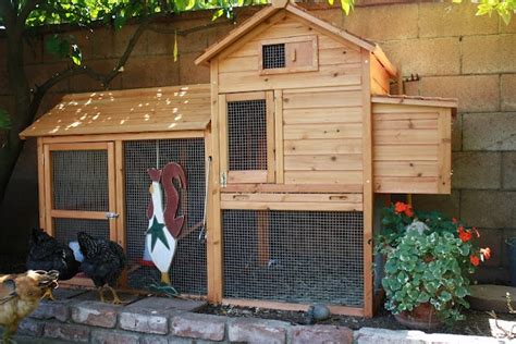 A Chicken Coop With Two Chickens In It