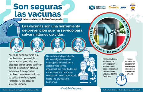 Son Seguras Las Vacunas Del Coronavirus Desc Brelo En La Serie