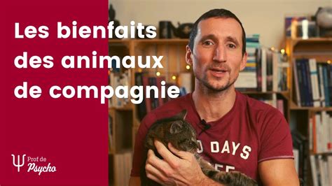 Animaux Les Bienfaits Des Animaux De Compagnie Youtube