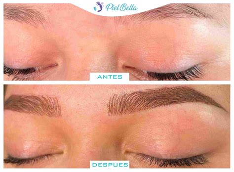 5 Diferencias Entre Microblading Y Microshading Piel Bella