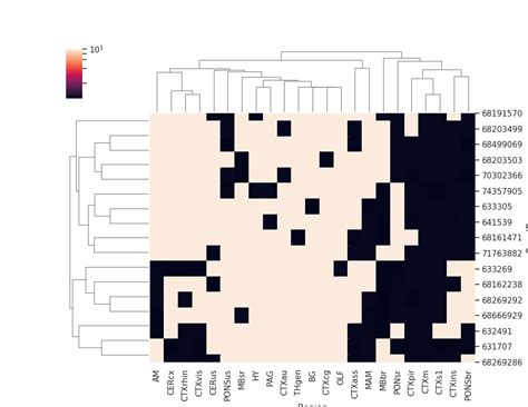 Seaborn Bigger Logarithmic Color Scale Python Sns Clustermap