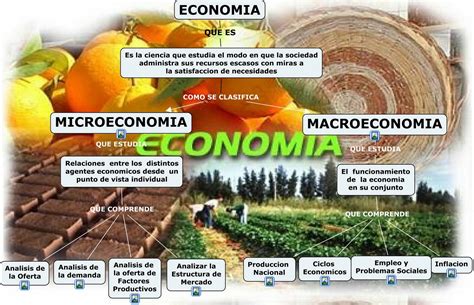 Economía Empresarial La Economía