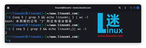 专业 bash 语法，成为更高级的 shell 艺术家 linux迷