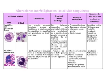 Alteraciones morfológicas en las células sanguíneas Katherine Méndez