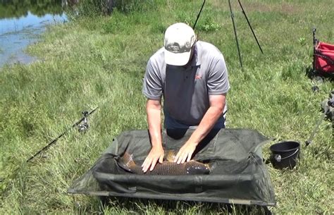 Carp Fishing 101 Carp Care CarpQuest