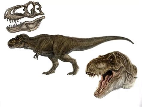 Jurassic Park Trex Fanart Jurassic Park Know Your Meme