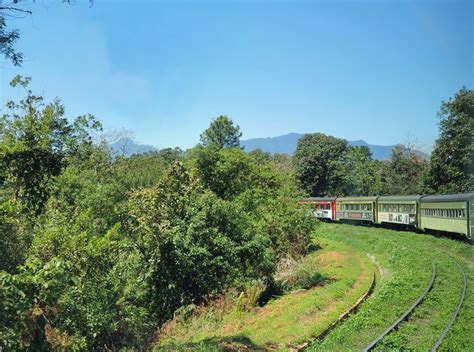 Tem que ir Passeio de Trem Curitiba a Morretes tudo que você precisa