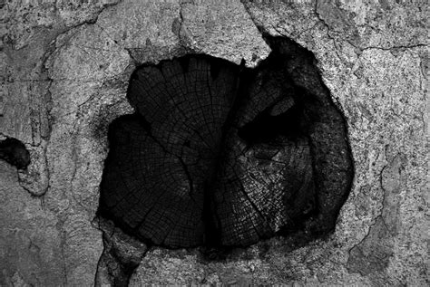 Fotos gratis rock en blanco y negro arquitectura fotografía