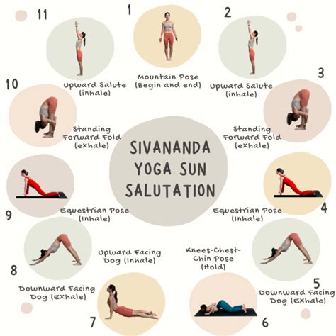 Sun Salutation Sequences The Complete Guide To Unlock Vitality And