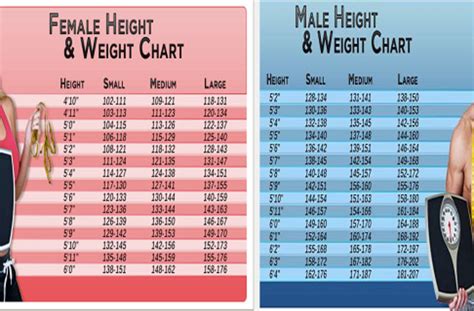 THIS IS HOW MUCH YOU SHOULD WEIGH ACCORDING TO YOUR AGE BODY SHAPE AND