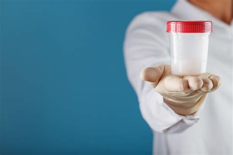 Fecundaci N In Vitro Qu Es Y En Qu Consiste Clinica Imar