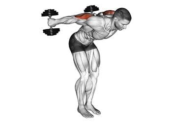 Top 10 des Exercices Triceps avec Haltères MAJ 2023