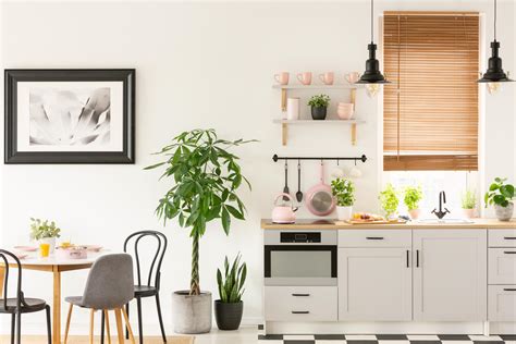 Plantas Para La Cocina Perfectas Para Decorarla