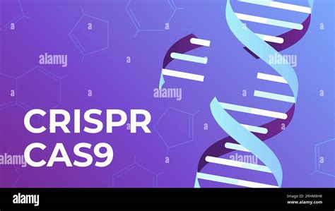 CRISPR CAS9 DNA Gene Editing Tool Genes Biotechnology And Human