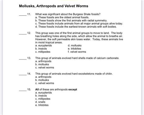 Solved Mollusks Arthropods And Velvet Worms 11 What Was Chegg