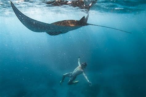 Nusa Penida Private 4 Stop Snorkeling With Manta Rays 2024 Ubud