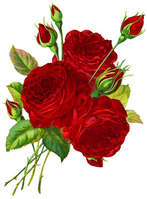 印刷可能 red rose drawing 297136 Red rose drawing easy