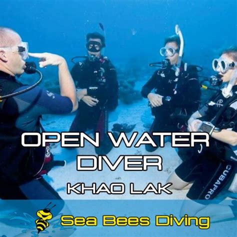 Open Water Diver Course Khao Lak Sea Bees Diving Thailand
