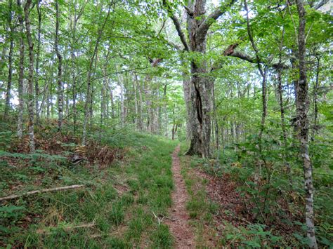 Big Butt Trail Hike