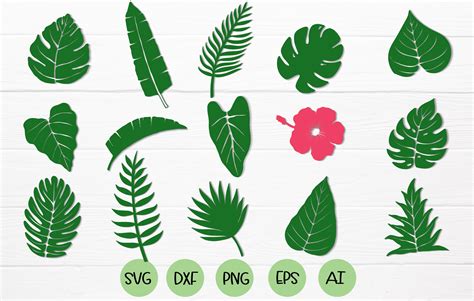 15 Tropical Leaves Bundle Graphic By Artdee2554 Creative Fabrica