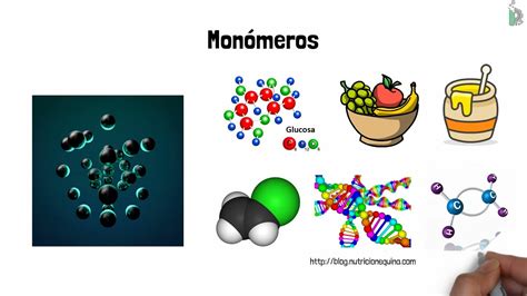 Polímeros Copolímeros y Elastómeros Definiciones y diferencias