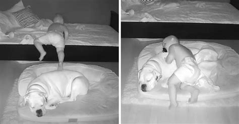 Videocamera Riprende Bambino Che Sgattaiola Fuori Dal Letto Per Dormire