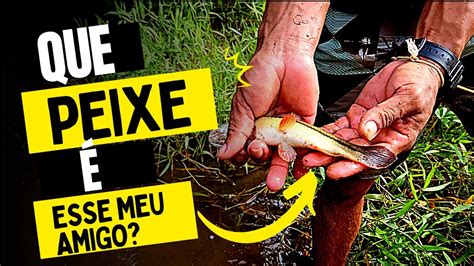 Pescaria tem que ser assim direito a espécie diferente de peixe e