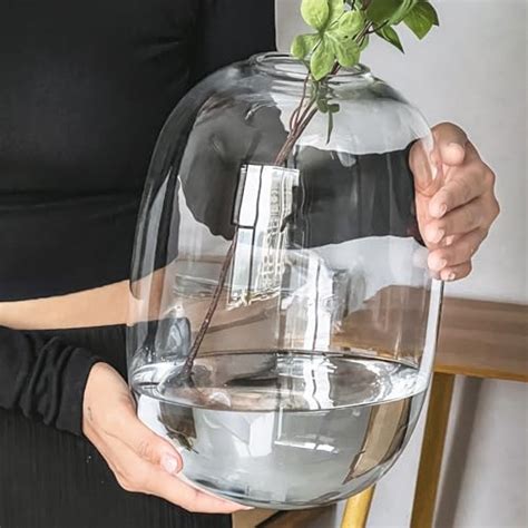 I Tested The Best Extra Large Floor Glass Vases And Heres What I Found