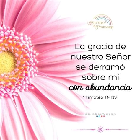Oración por la gracia de vivir como Dios quiere Oración Corta Pero