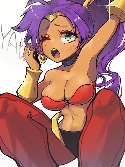 Shantae Character Image By Kyojin Ii 3920395 Zerochan Anime Image
