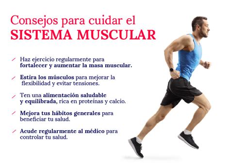C Mo Cuidar El Sistema Muscular Aprende Institute