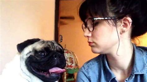 Un chien refuse les bisous de sa maîtresse elle pue de la bouche